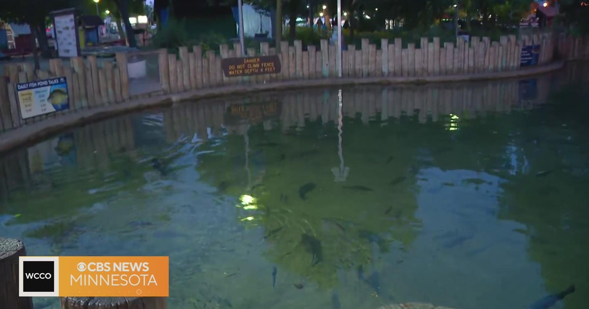 Minnesota DNR's Fish Pond at the State Fair: Its history and more - CBS ...