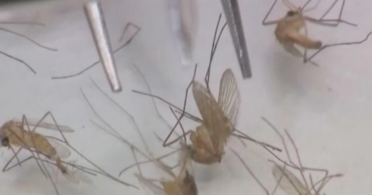 DuPage Co. health officials report first human case of West Nile Virus ...