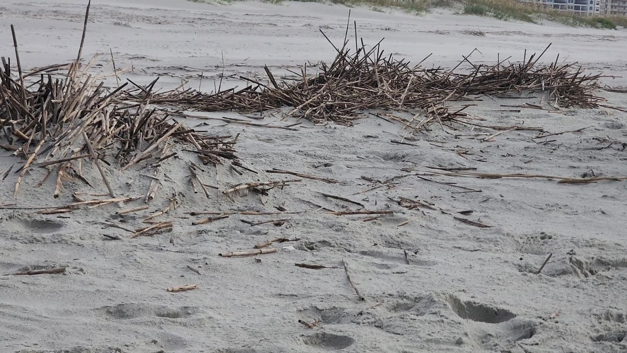 Hey Ray: Sand dunes and why they're important - CBS Pittsburgh