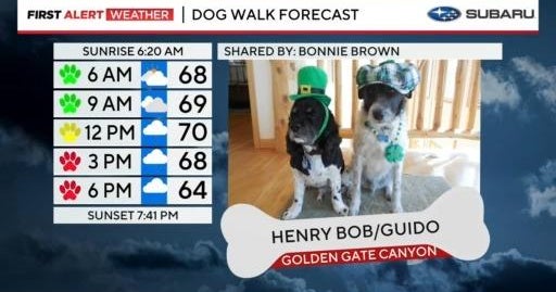Henry Bob and Guido join Dog Walk Forecast - CBS Colorado