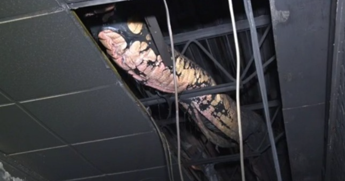 Fire experts: Under right conditions, rags and towels could spark fire ...