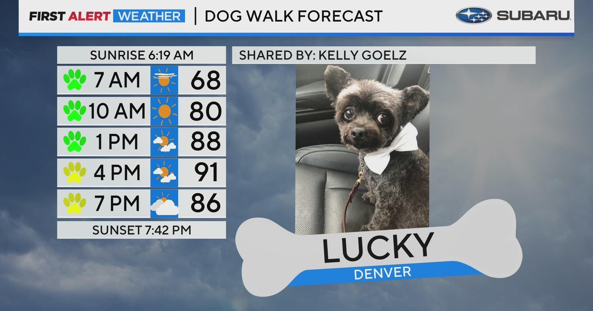 Lucky joins Dog Walk Forecast - CBS Colorado