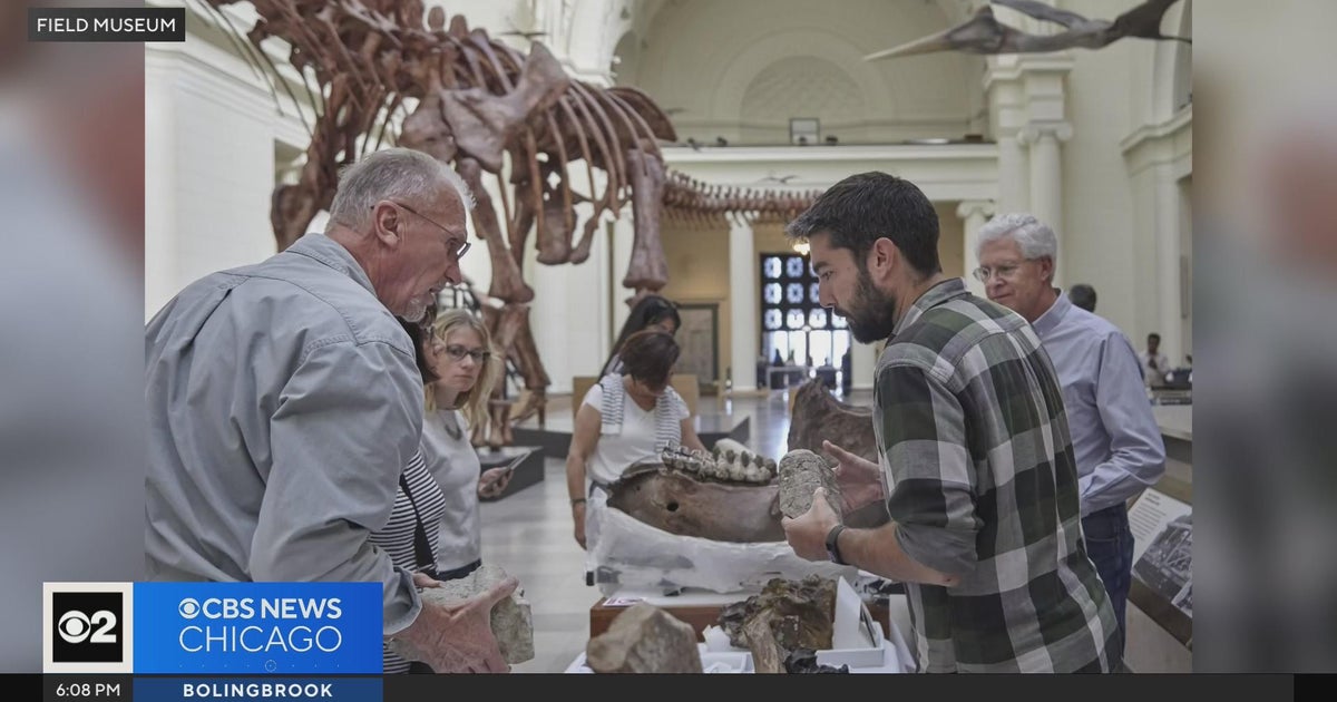 Field Museum's ID Day returns Saturday - CBS Chicago