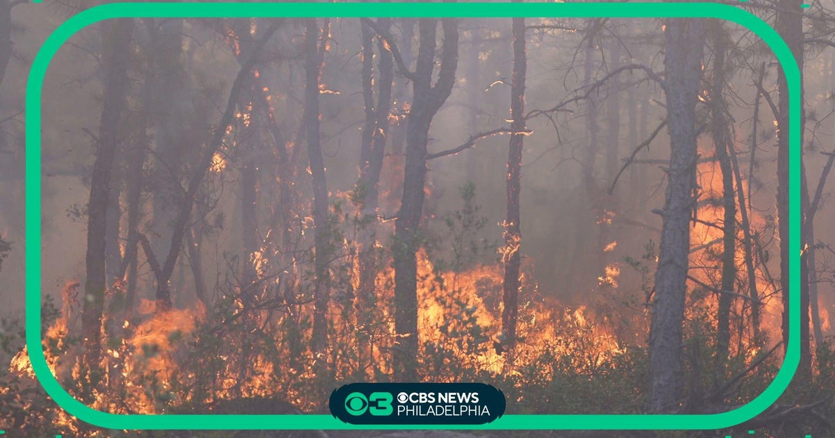 Plane crash sparked wildfire at Miller Air Park in New Jersey ...