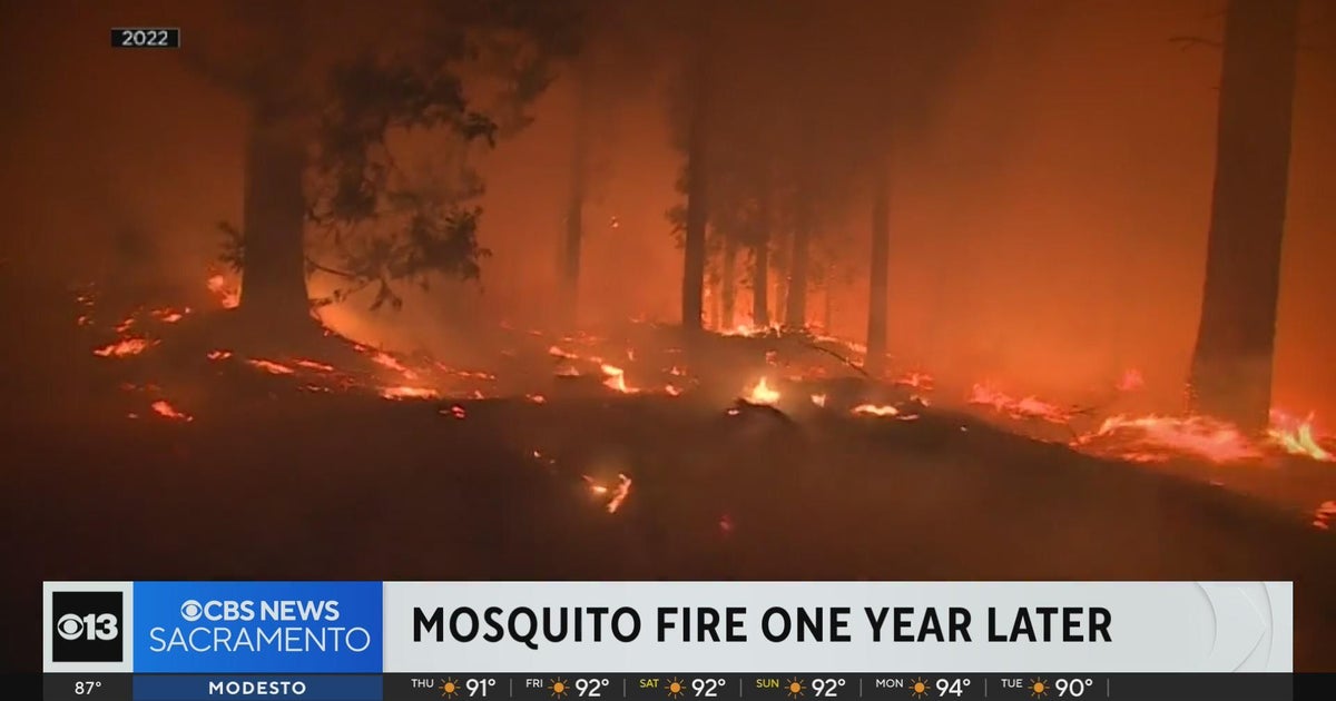 Foresthill residents remember one year since the start of the Mosquito ...