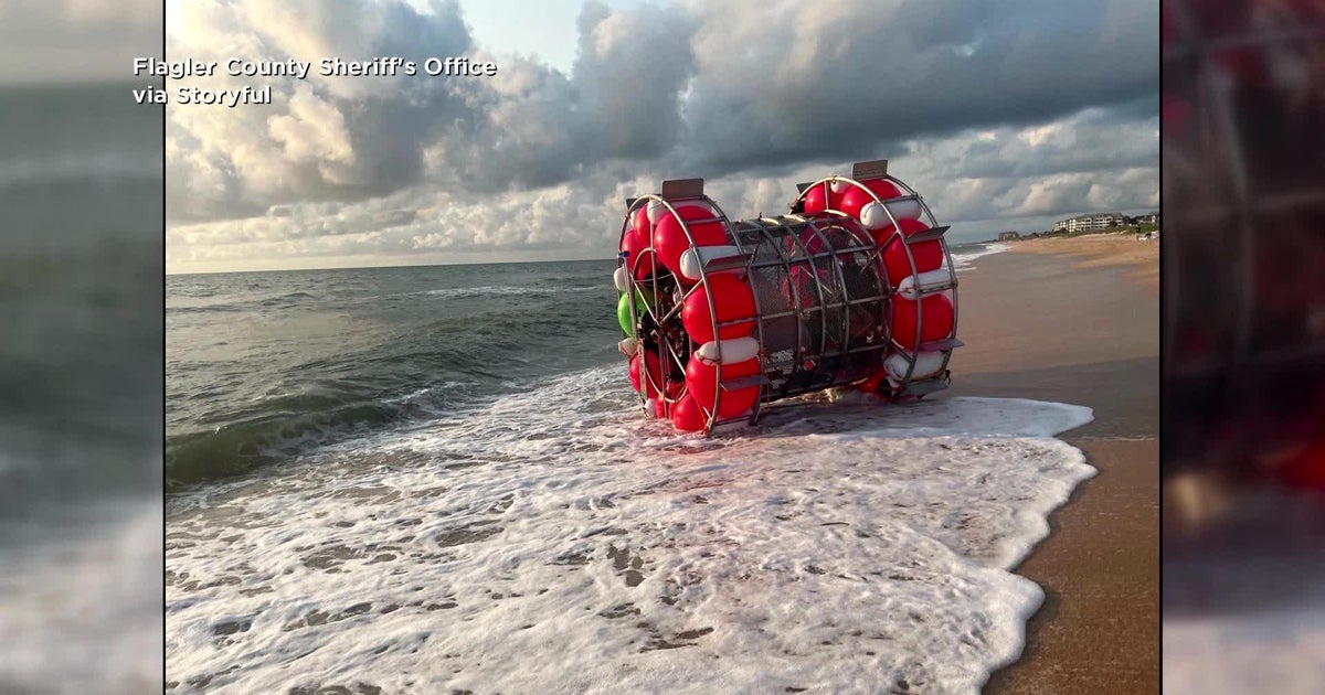 Florida man charged for attempting to cross Atlantic in giant hamster ...