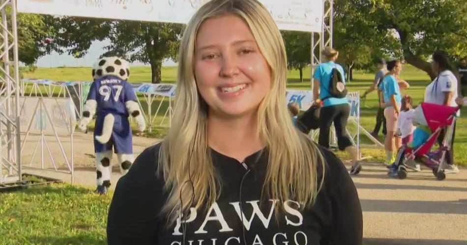 PAWS 5K Walk and Run - CBS Chicago
