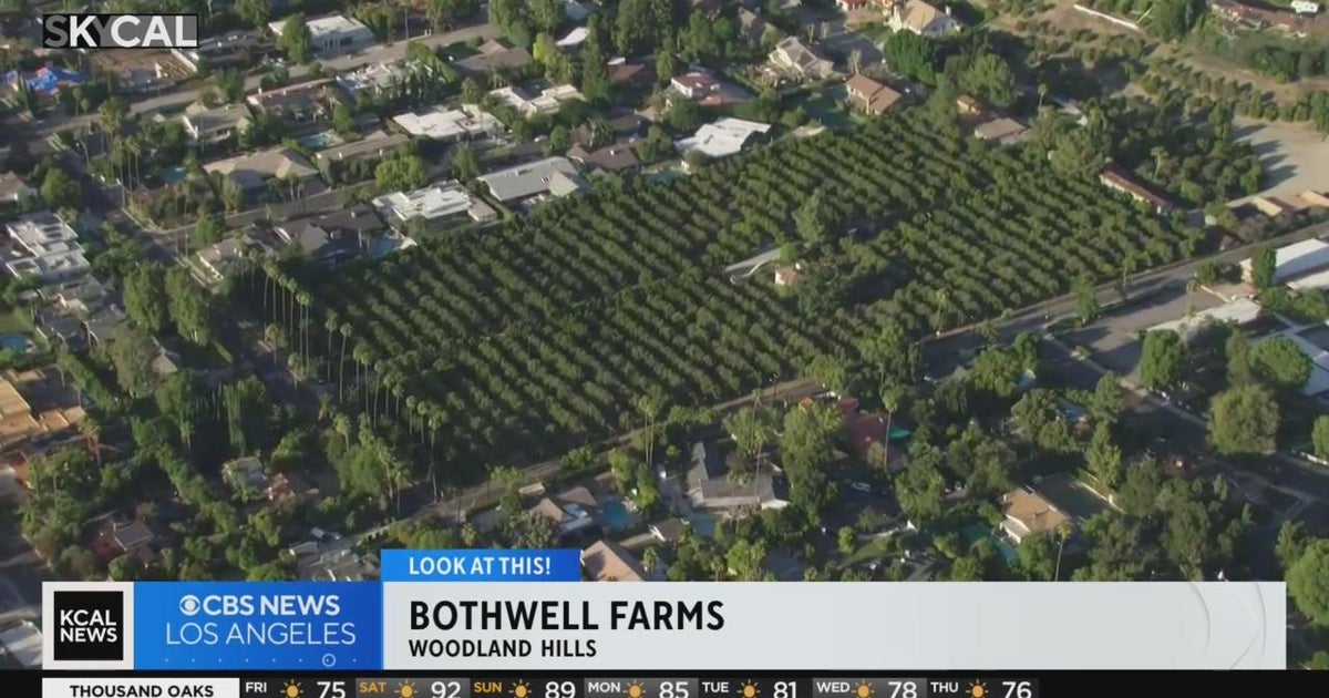 Bothwell Farms | Look At This! - CBS Los Angeles