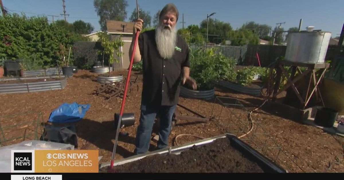 In the Garden: Pasteurizing soil - CBS Los Angeles