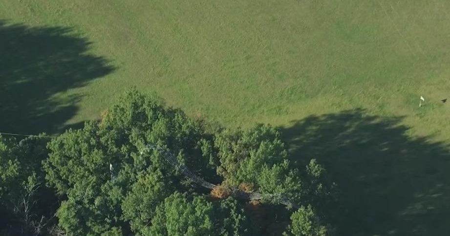 62-year-old pilot hospitalized after plane crash at Cross Keys Airport ...