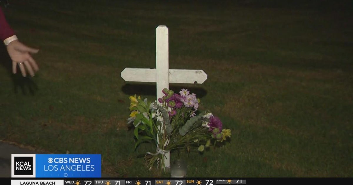 Teenager arrested for a series of intentional hit-and-run crashes in ...