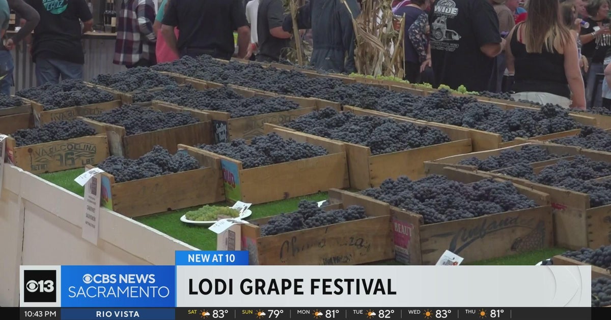 Annual Lodi Grape Festival celebrates 80th anniversary - CBS Sacramento