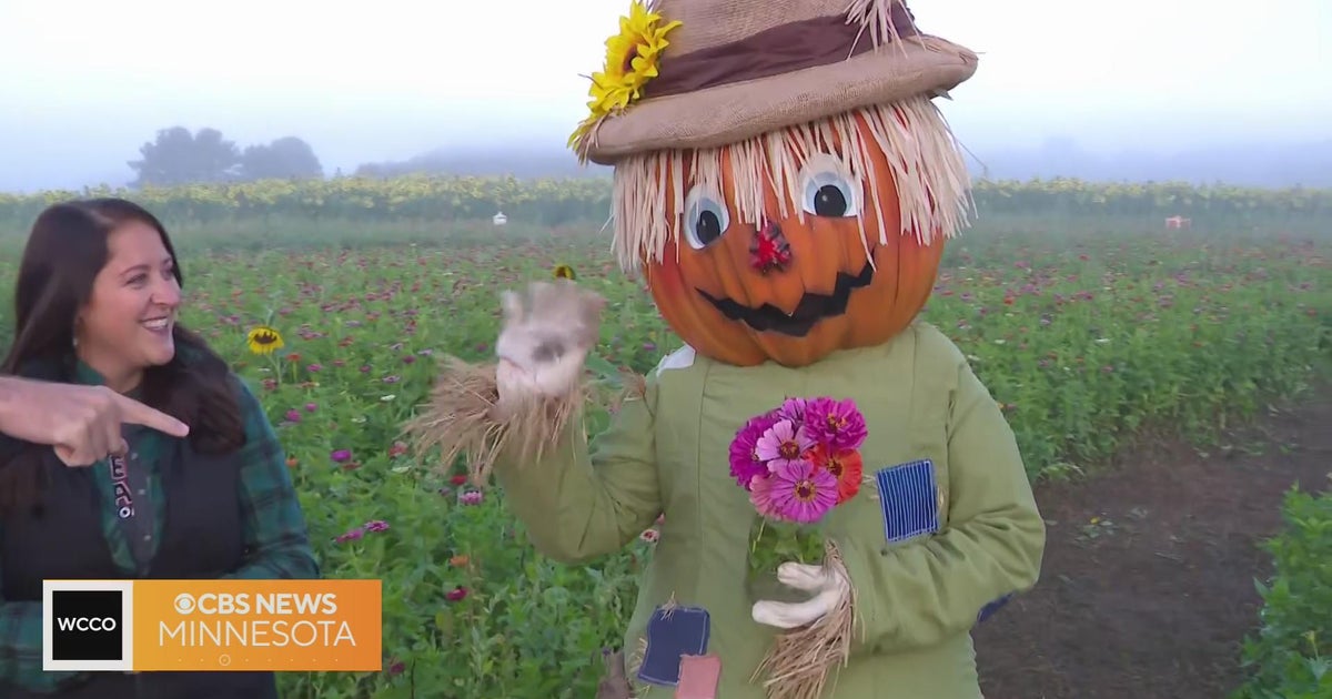 Pinehaven Farm previews fall fun - CBS Minnesota