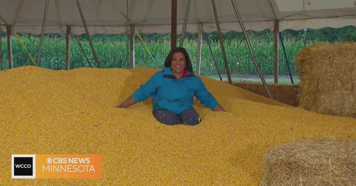 What are your favorite fall activities? - CBS Minnesota