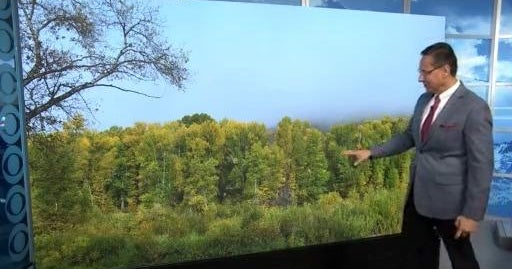 Colorado gold: why do the leaves change colors? - CBS Colorado