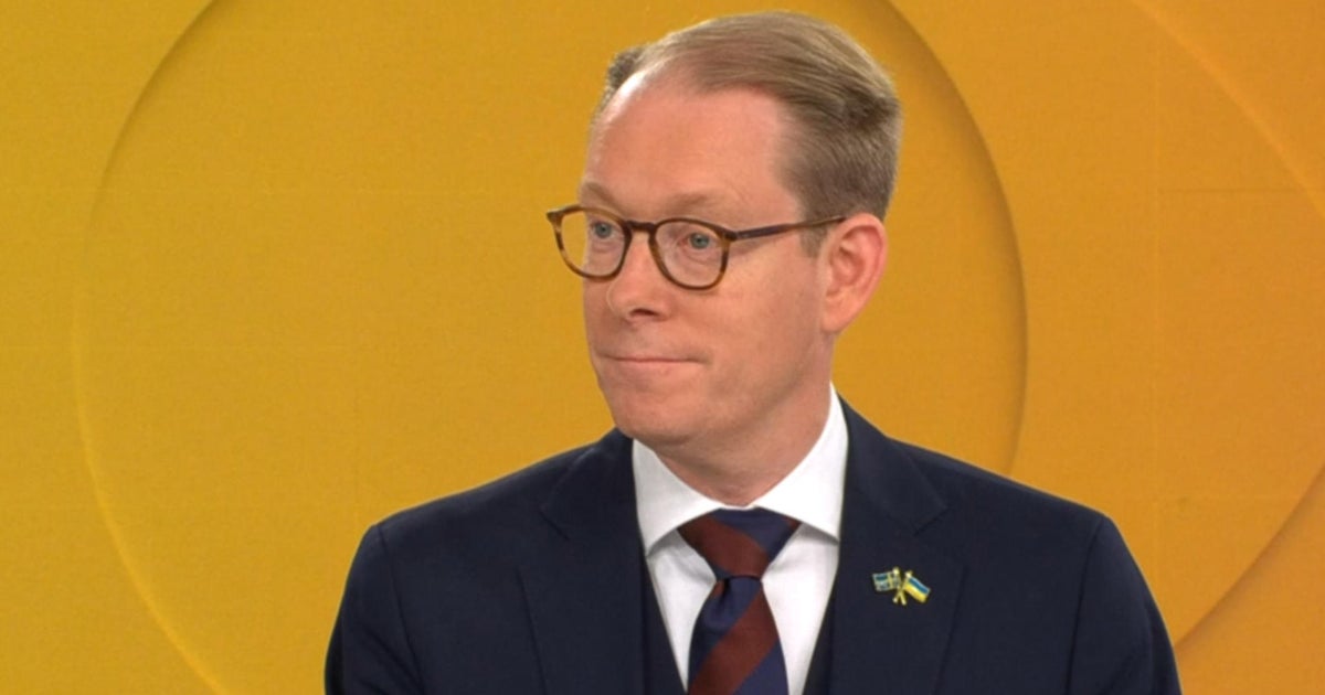 Swedish foreign affairs minister says NATO membership needed for safety ...