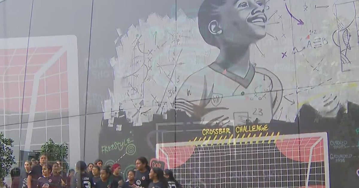 New sports mural unveiled in Chicago - CBS Chicago