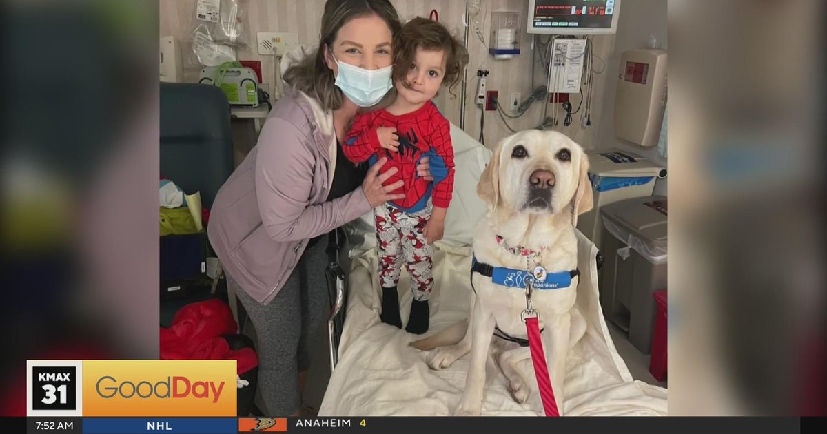 Celebrating National Service Dog Month with Bria - Good Day Sacramento
