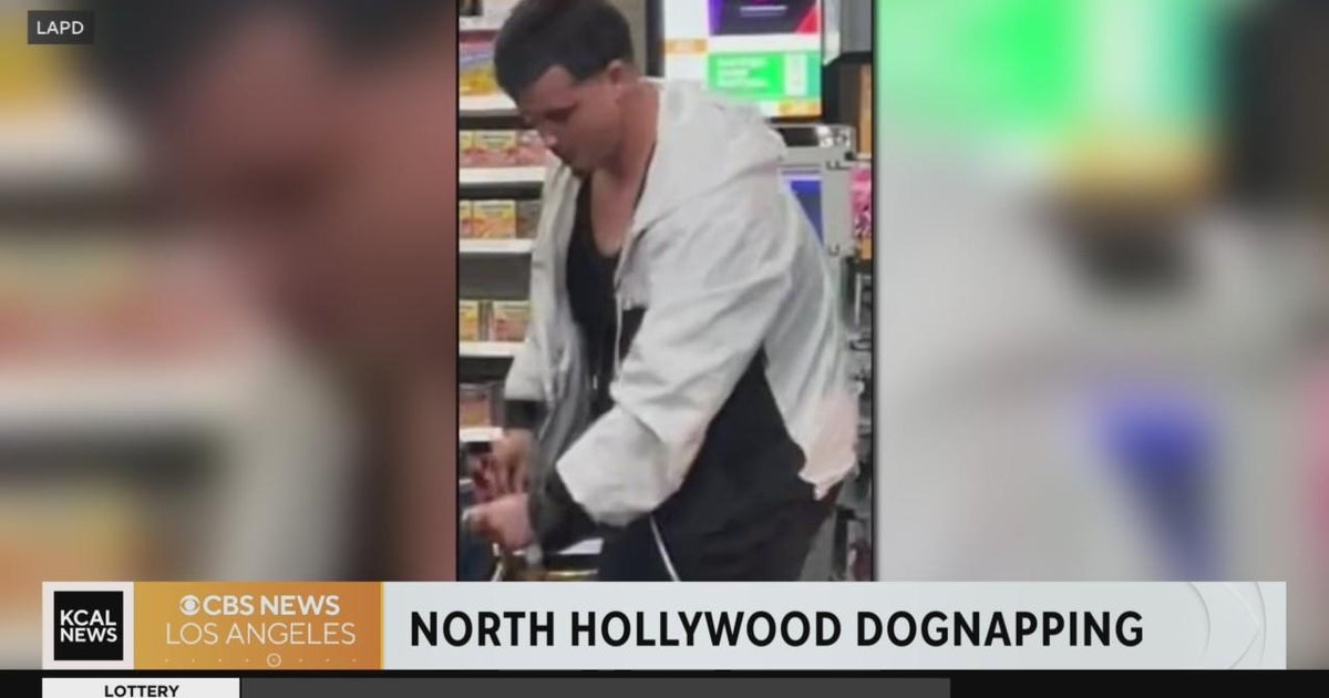 Search continues for dognapping suspects in NoHo - CBS Los Angeles