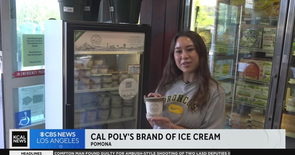 Cal Poly students team up with local business to create unique ice ...