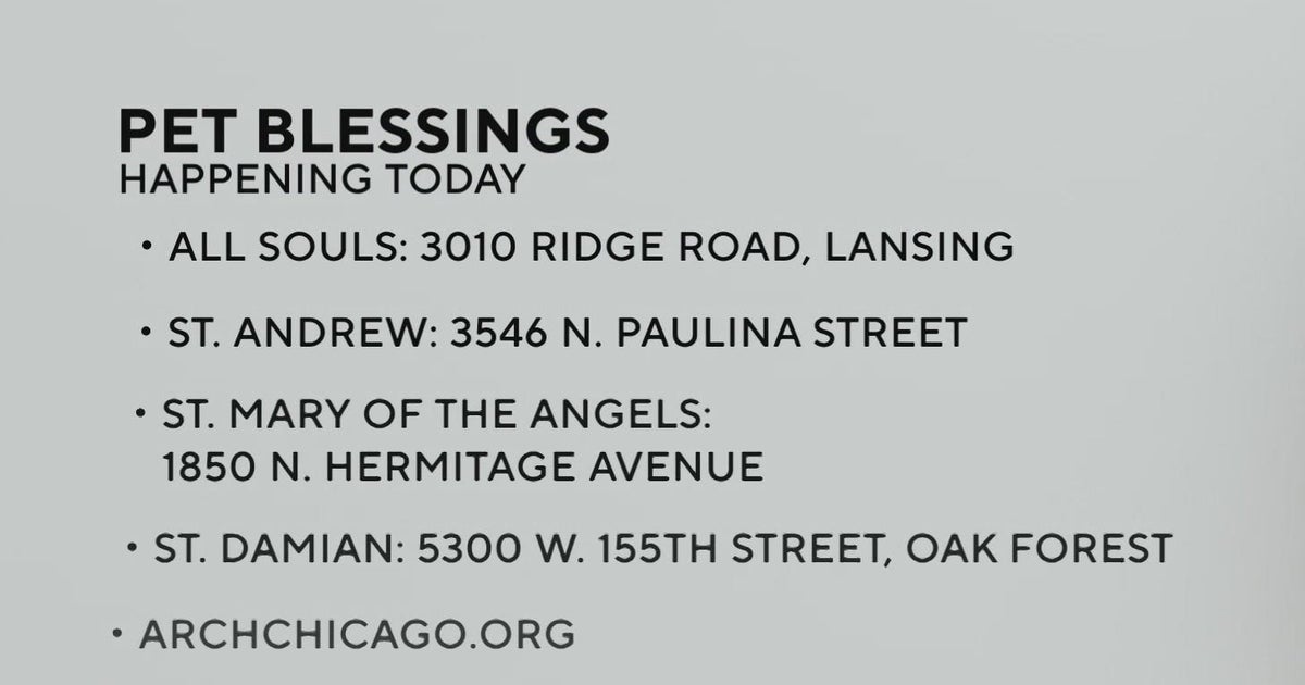 Archdiocese of Chicago offering blessings to pets in celebration of ...