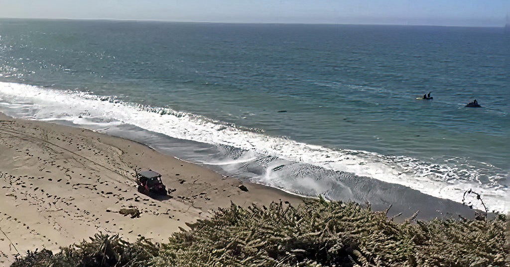Swimmer missing following shark encounter in Marin County - CBS San ...