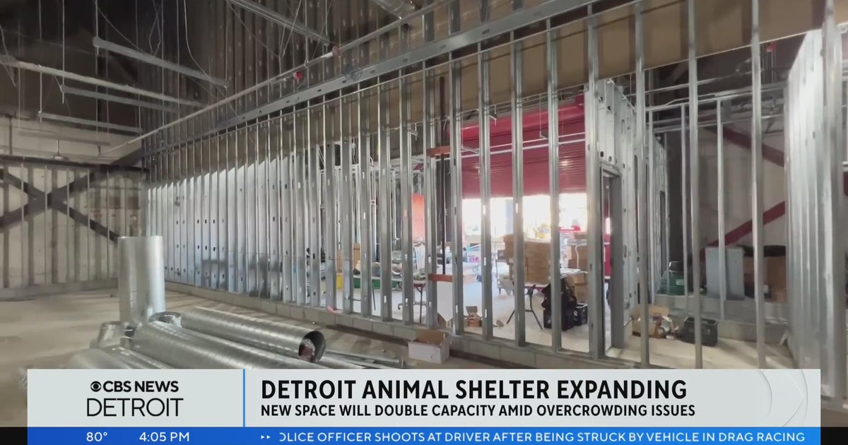 Significant progress happening at the future home of Detroit Animal ...