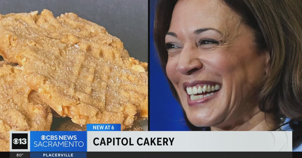 Yolo County bakery strives to make government, policy accessible to all ...