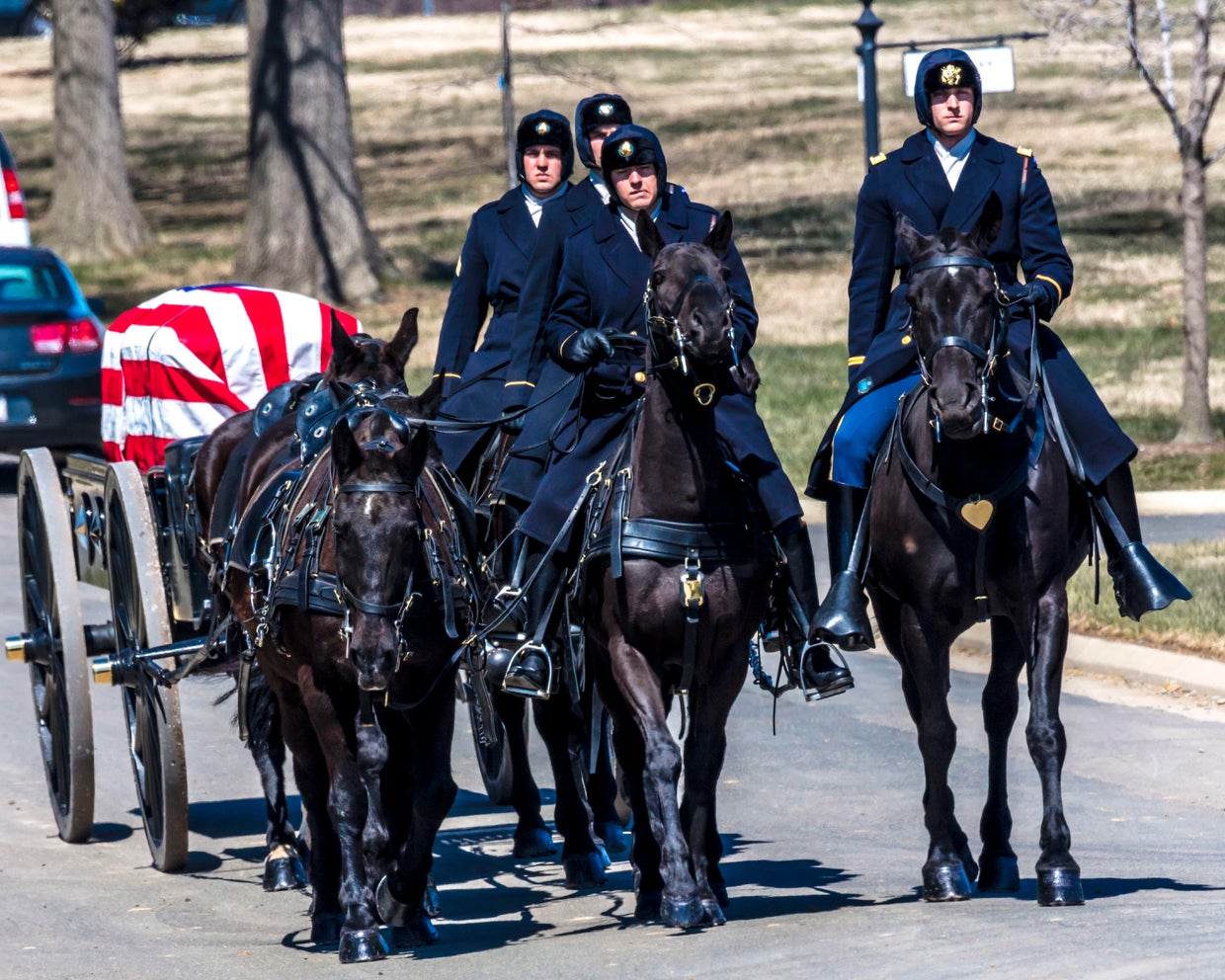 Changes coming after Arlington National Cemetery suspends use of horses ...