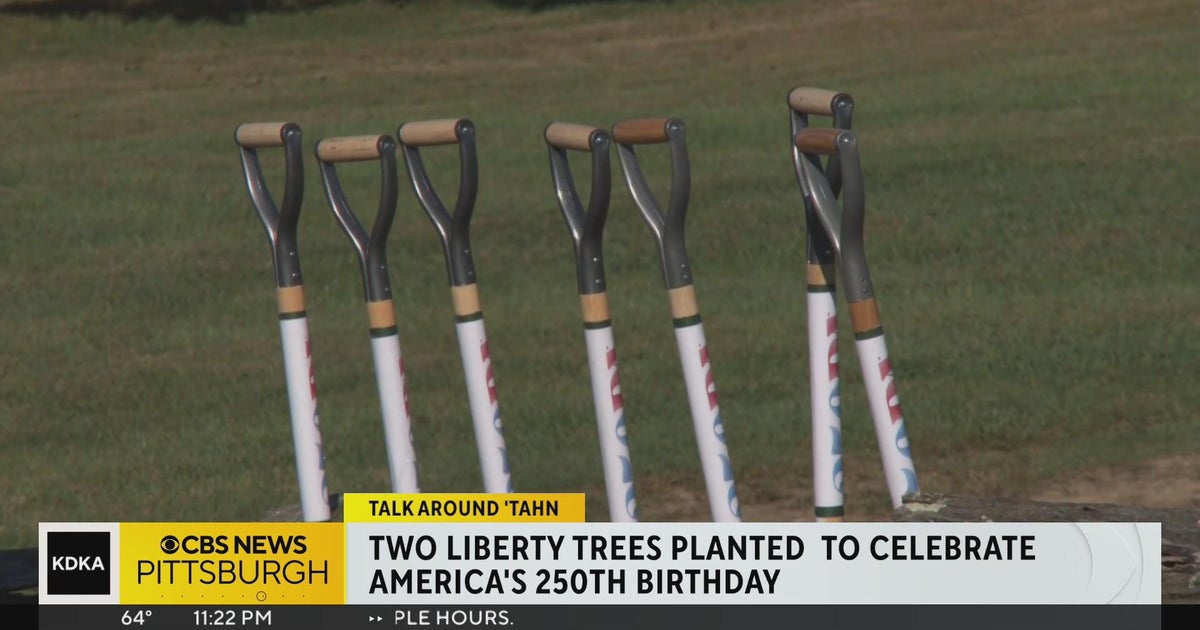 Liberty Trees planted in Fayette and Westmoreland counties - CBS Pittsburgh