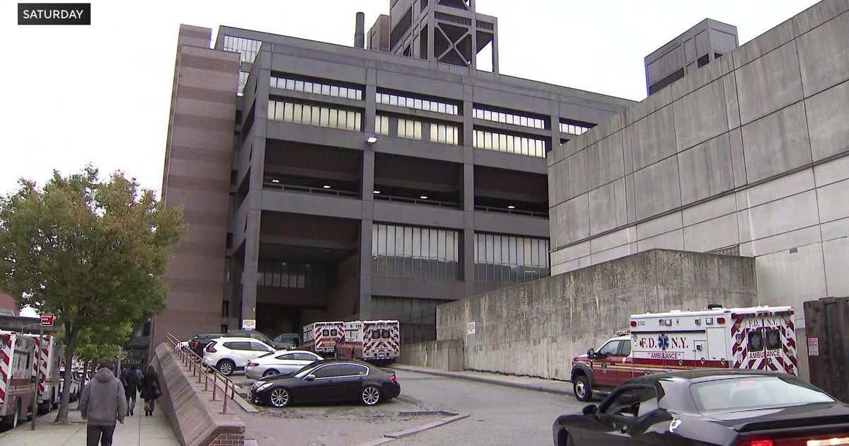 Brooklyn's Woodhull Hospital reopens after repairing damage from ...