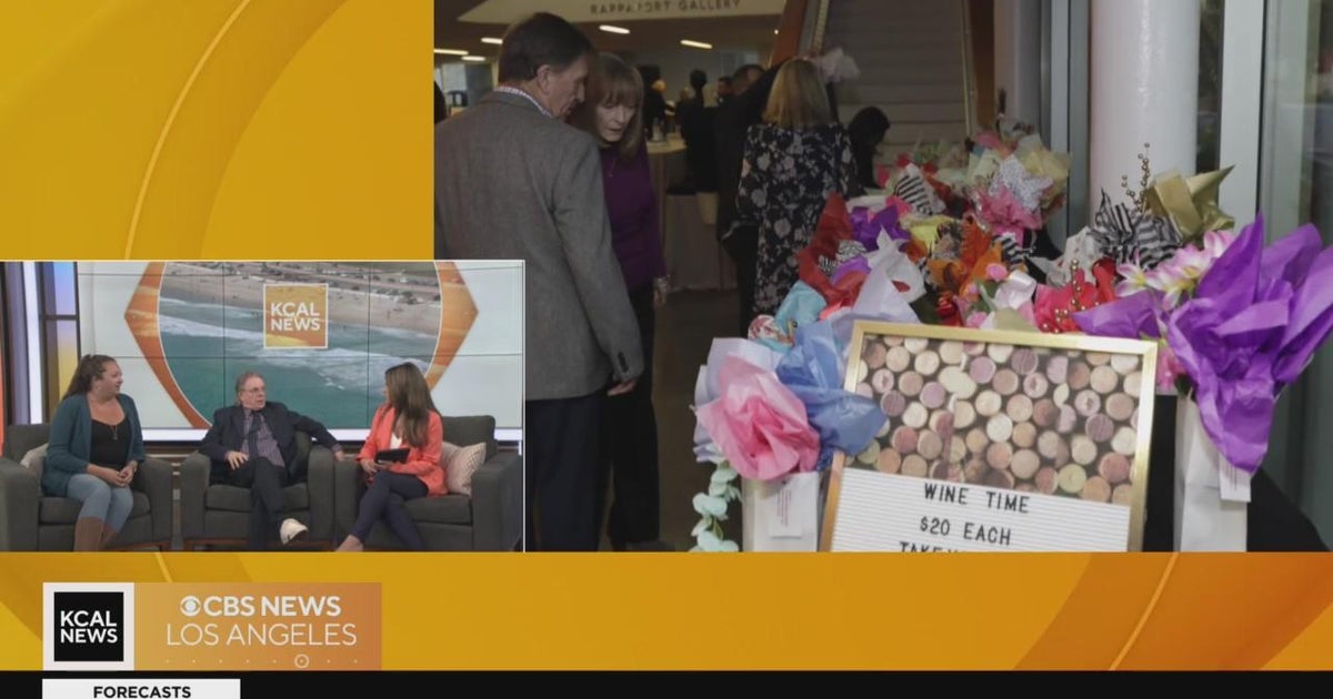 Nancy Painter Foundation hosts "Night at the Movies" to raise money for ...