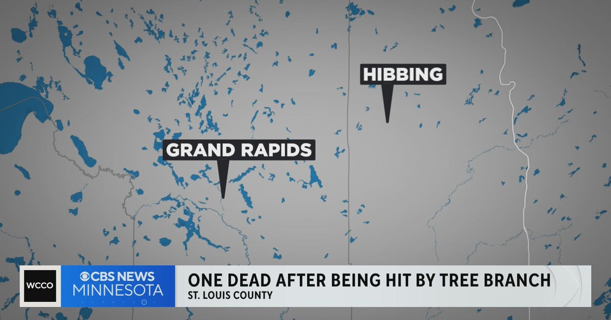 Woman killed by falling branch while riding ATV - CBS Minnesota