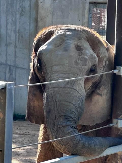 Where's Marty? Learning more about the conservation projects for ...