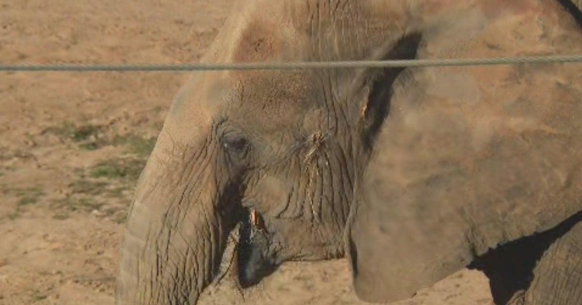 Where's Marty? Learning more about the conservation projects for ...