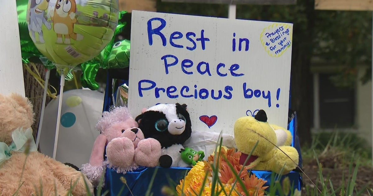 Prosecutors detail fatal stabbing of Chicago area Palestinian American ...