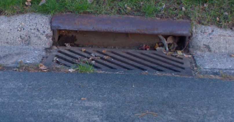 Thousands of Minnesotans adopt storm drains for cleaner waterways ...