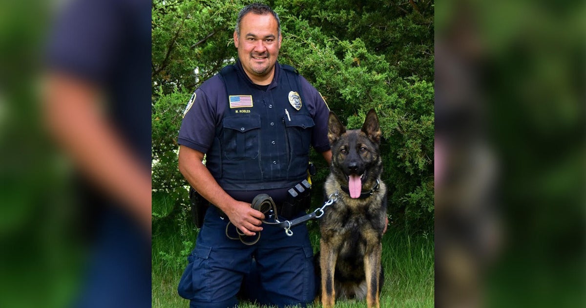New Hope Police K-9 team wins national award - CBS Minnesota