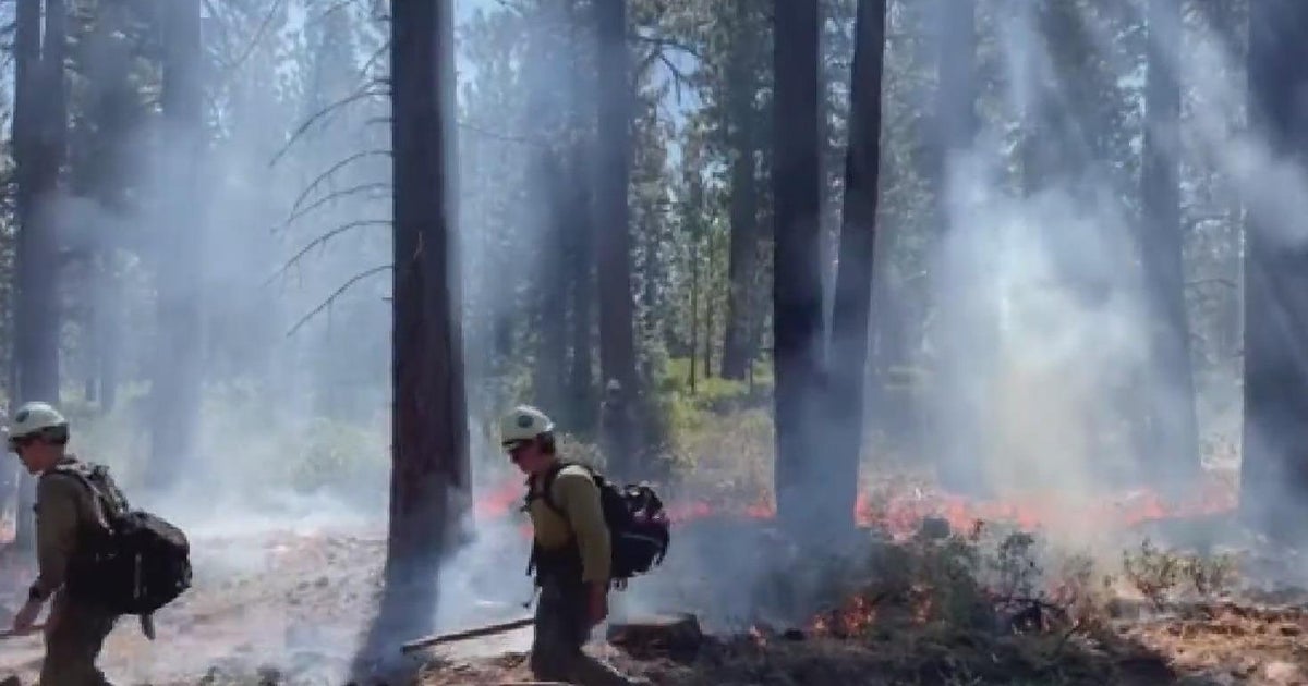Smoke across the Tahoe National Forest? USFS says "don't worry, it's a ...