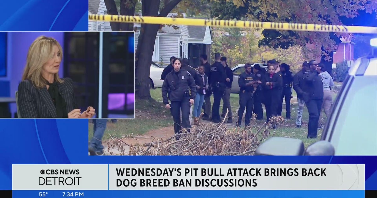 Dog attack that killed child in Detroit reignites discussion on dog ...