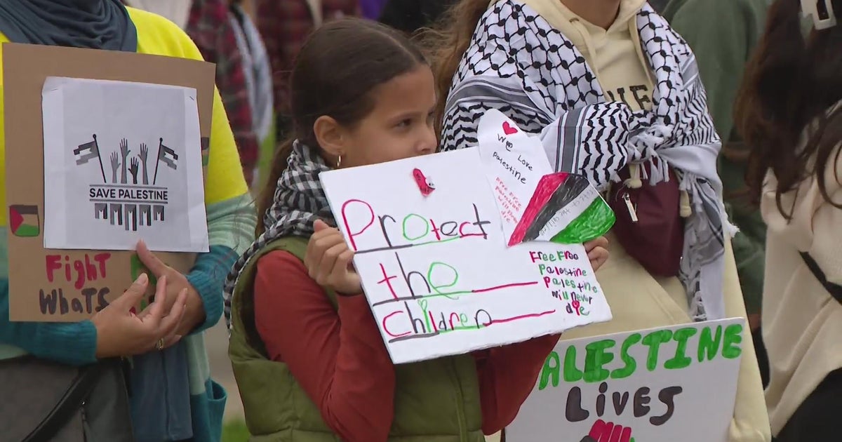 Pro-Palestinian crowd rallies at Minnesota Capitol for cease-fire in ...