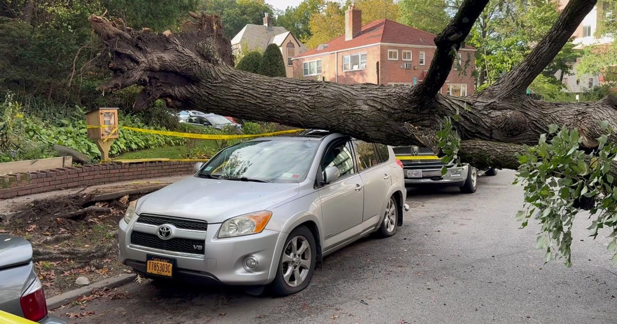 Wind & rain bring tree down on SUV in Queens - CBS New York