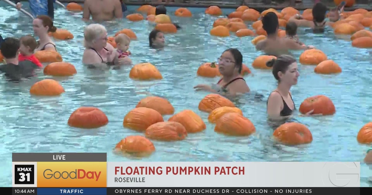 Floating Pumpkin Patch - Good Day Sacramento