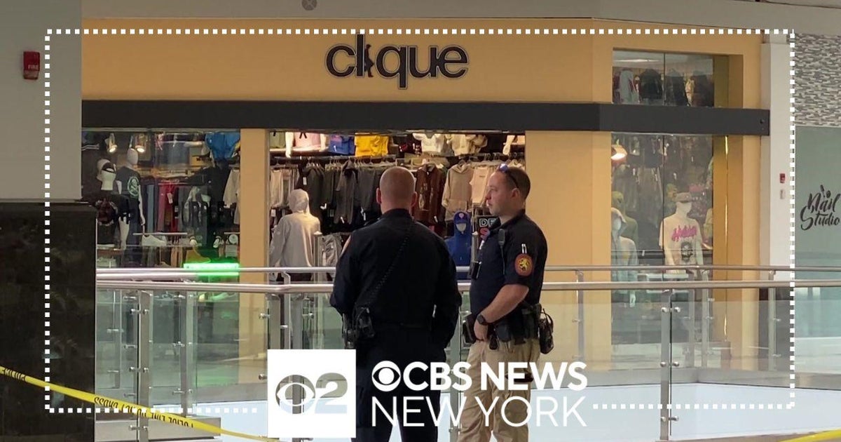 Suspect trying to steal clothes fires gun, flees Long Island mall ...