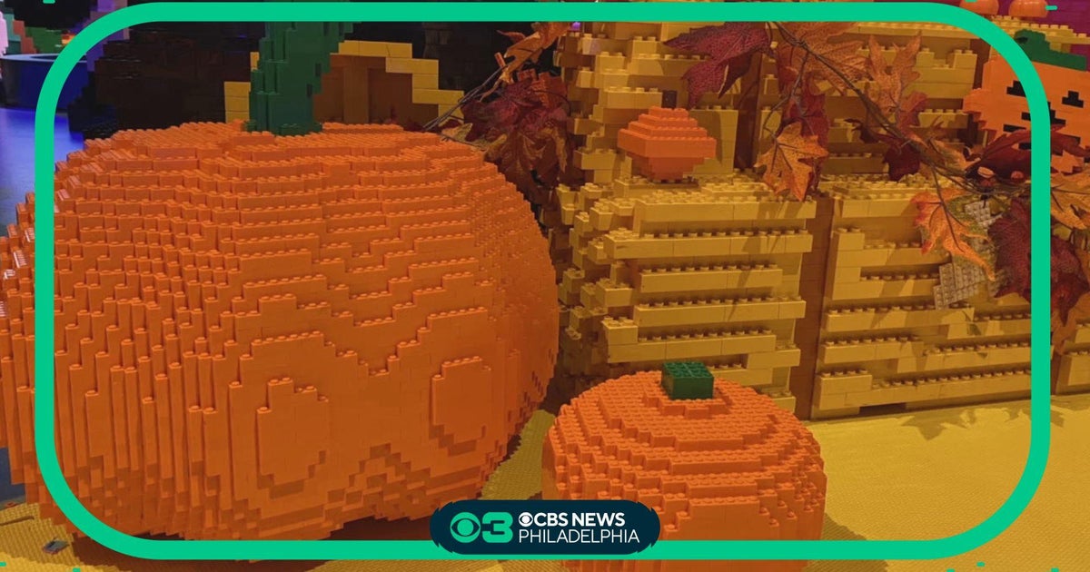 National Pumpkin Day: LEGOLAND celebrating with a LGO pumpkin patch ...