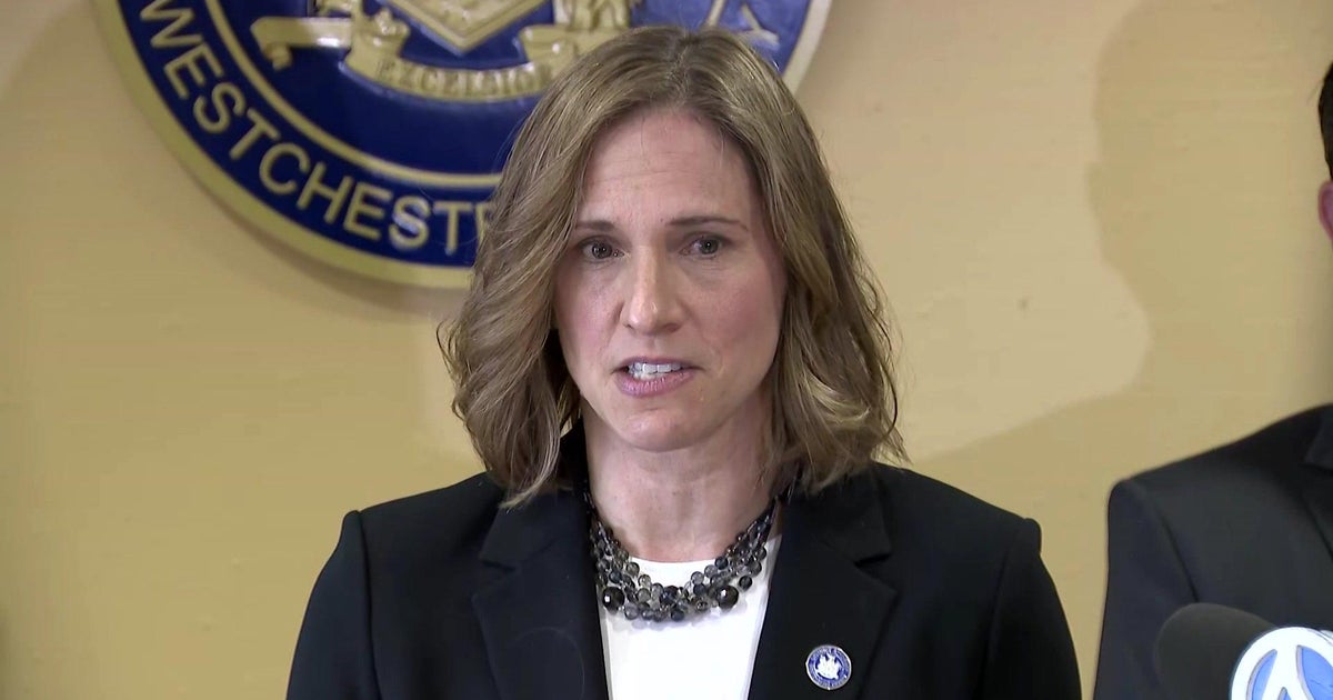 Westchester County District Attorney Mimi Rocah not running for re ...