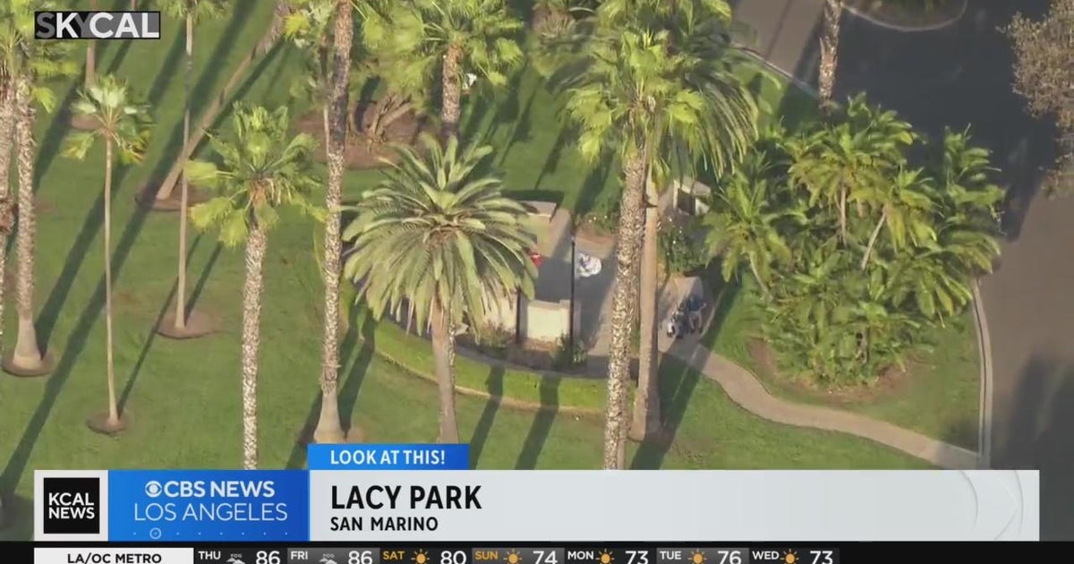 Lacy Park | Look At This! - CBS Los Angeles
