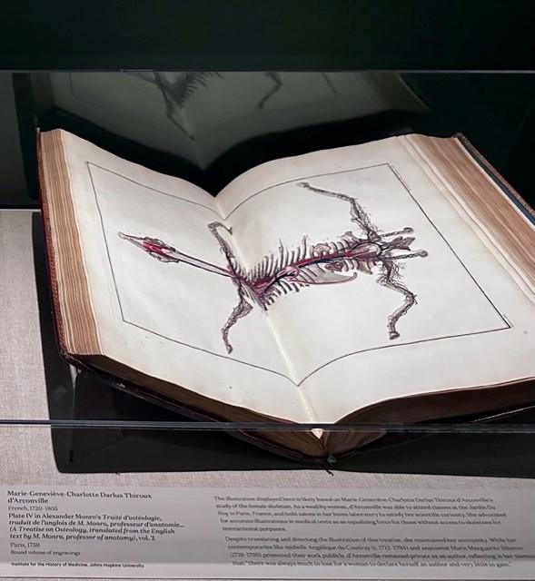 Where's Marty? Getting a look inside the "Making her Mark" exhibit at ...