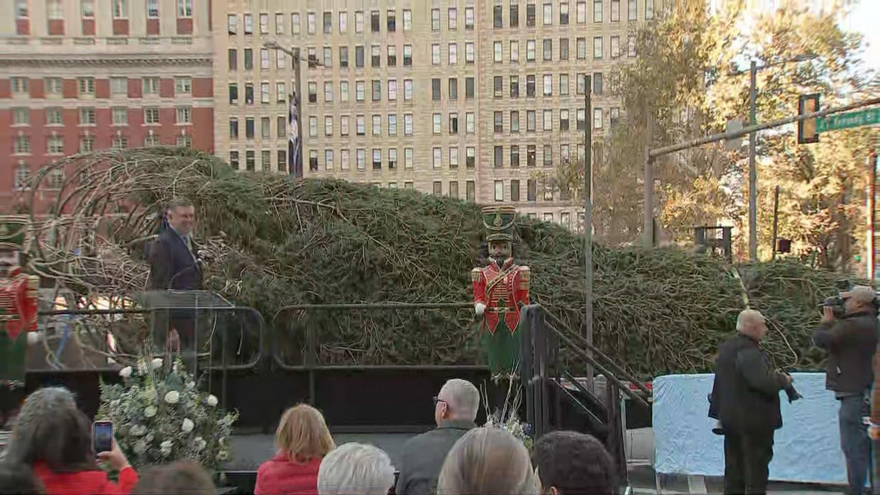 How many days until Christmas? Philadelphia's tree arrives in city ...