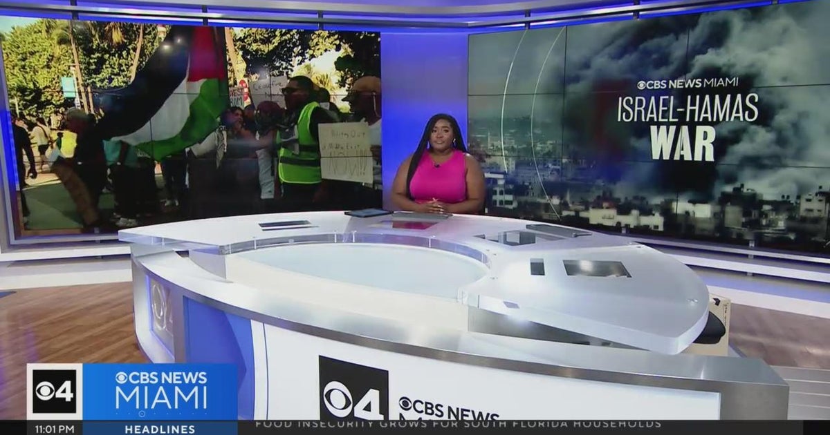 Pro-Palestinian, pro-Israeli demonstrators hold counter protests along ...